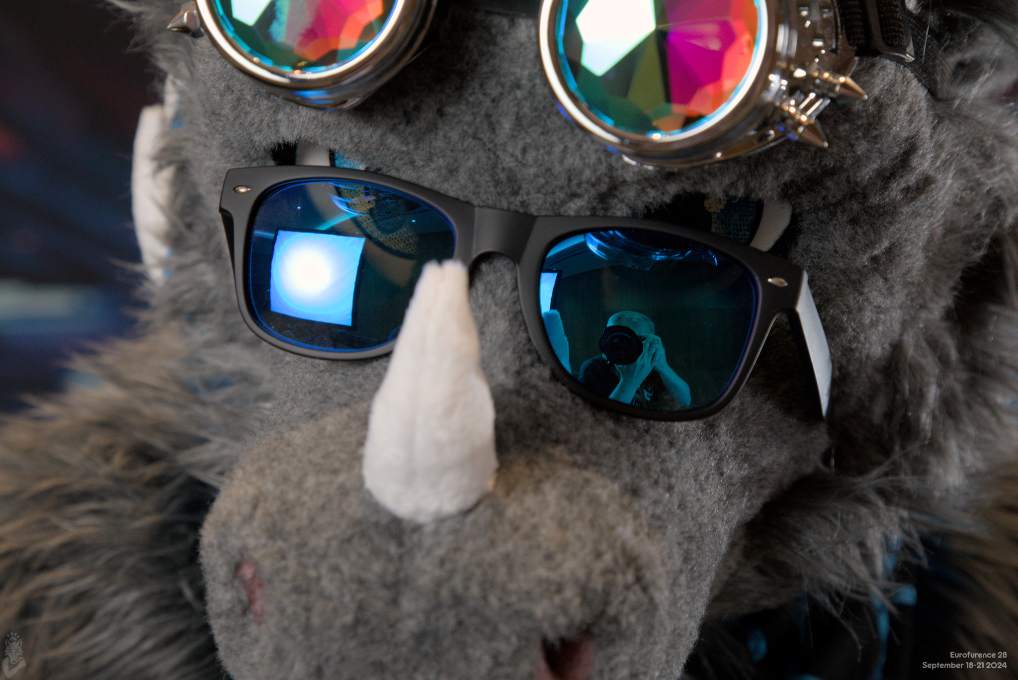 Eurofurence Photoshoot Gallery